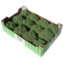 Broccoli - Spain