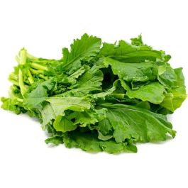 Rapini Leaves - Netherlands