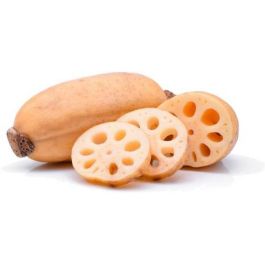 Lotus Root - Thailand